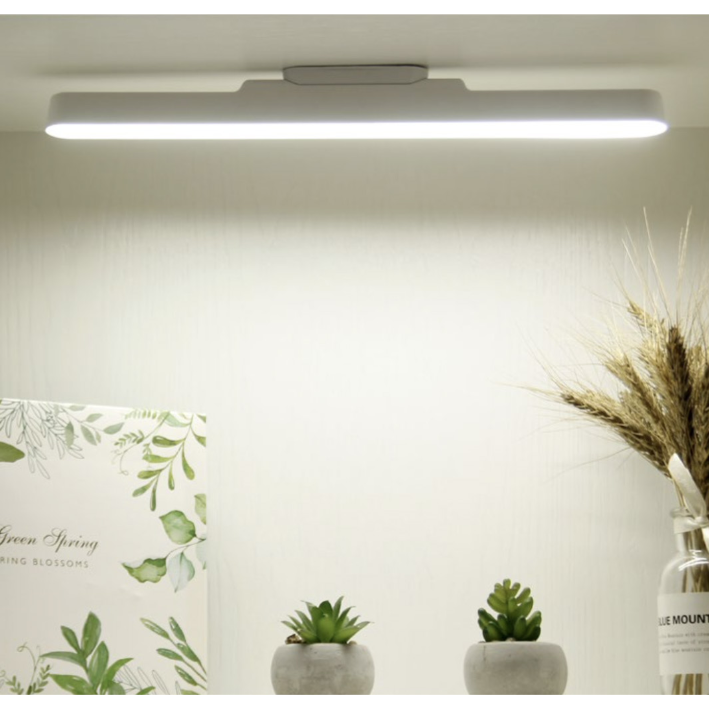 ILUMINAÇÃO MAGNÓLIA LED - Alberto Santos